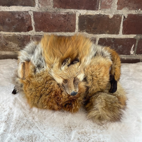 Source Unknown | Accessories | Vintage Early 90s Fox Hand Warmer ...